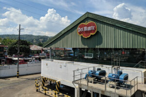 Del Monte completes 1.45% Sundrop stake sale - Investors Business Hour